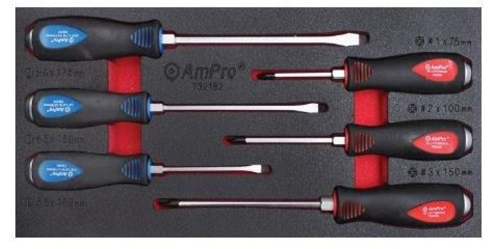 6Pc Go-Thru Screwdriver Set (Ph And Slotted) AMPRO T32182 tools at ...